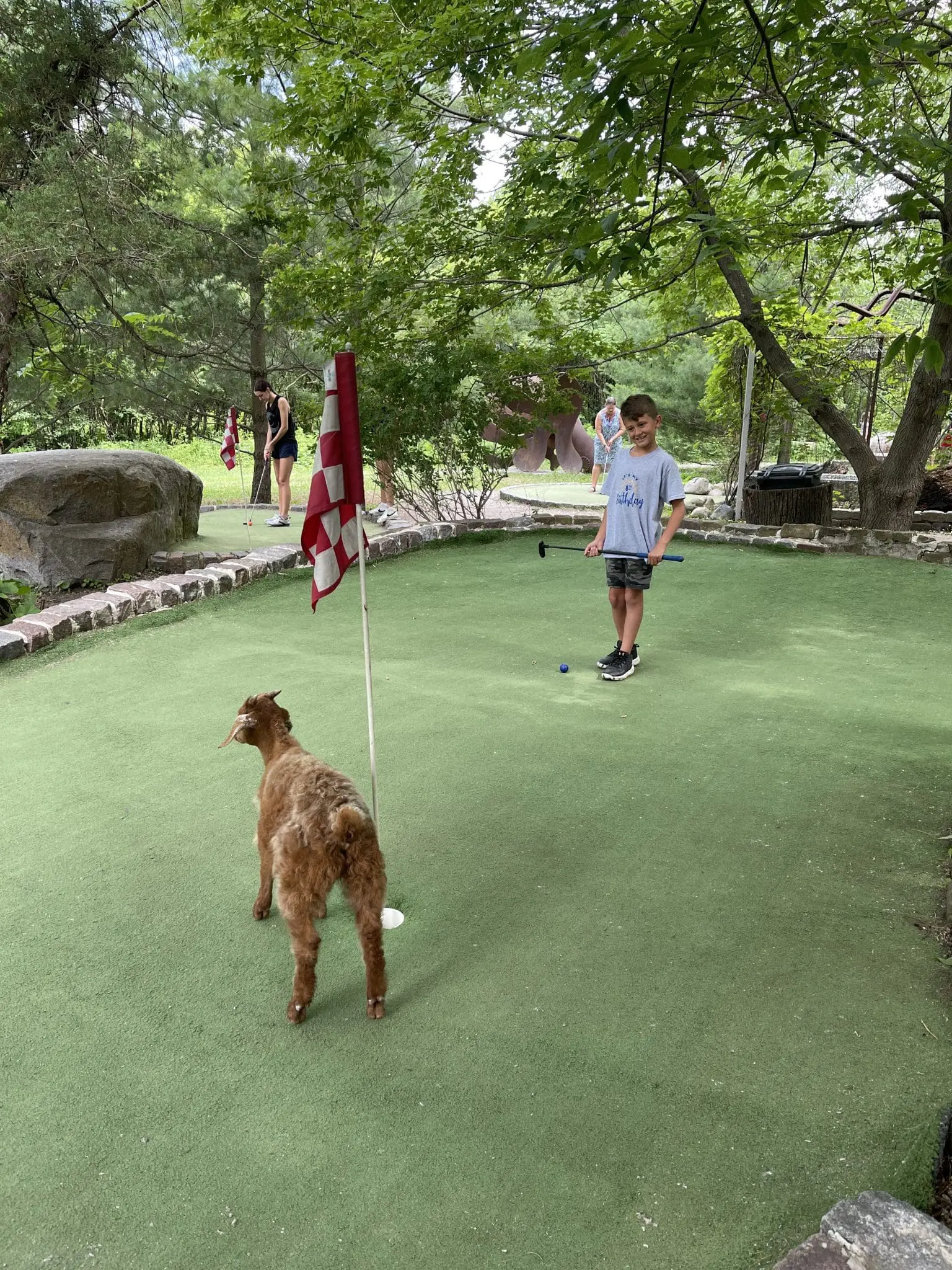 Go, See, Explore: Big Stone Mini Golf | Minnetrista, MN