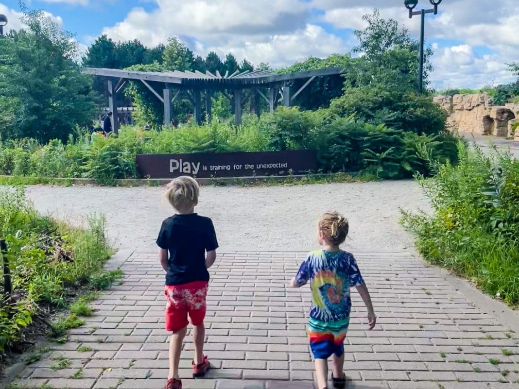 Go, See, Explore: Tamarack Nature Center