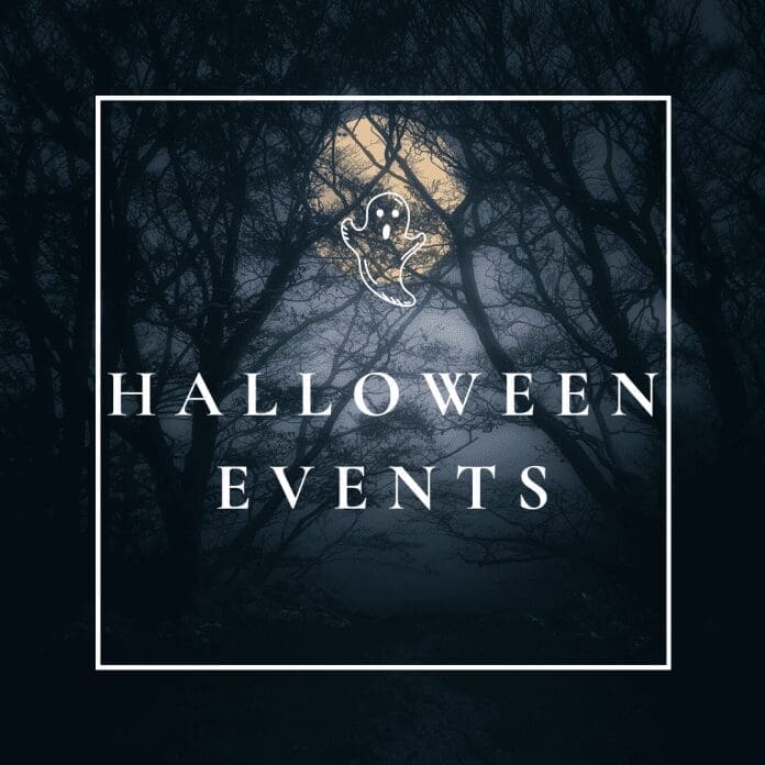 Twin Cities Guide to MEA Weekend