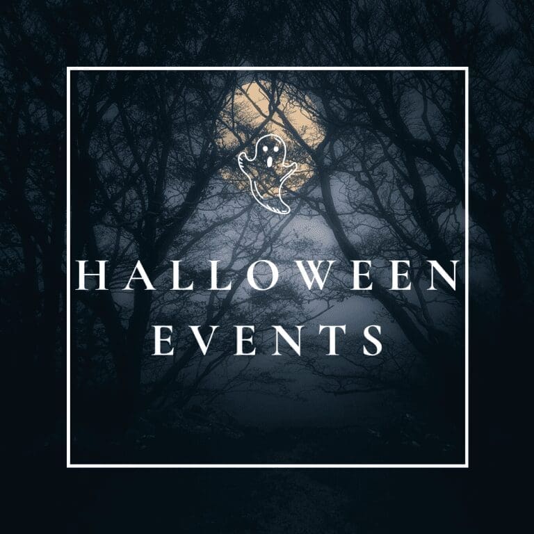 Twin Cities Guide to MEA Weekend