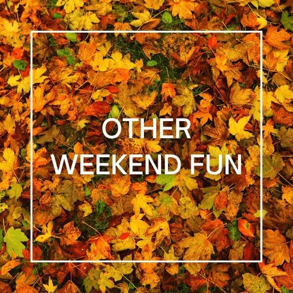 Twin Cities Guide to MEA Weekend