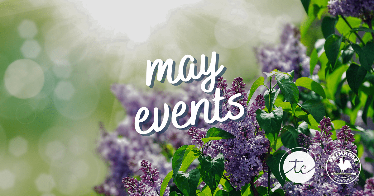 Twin Cities Guide to May Events