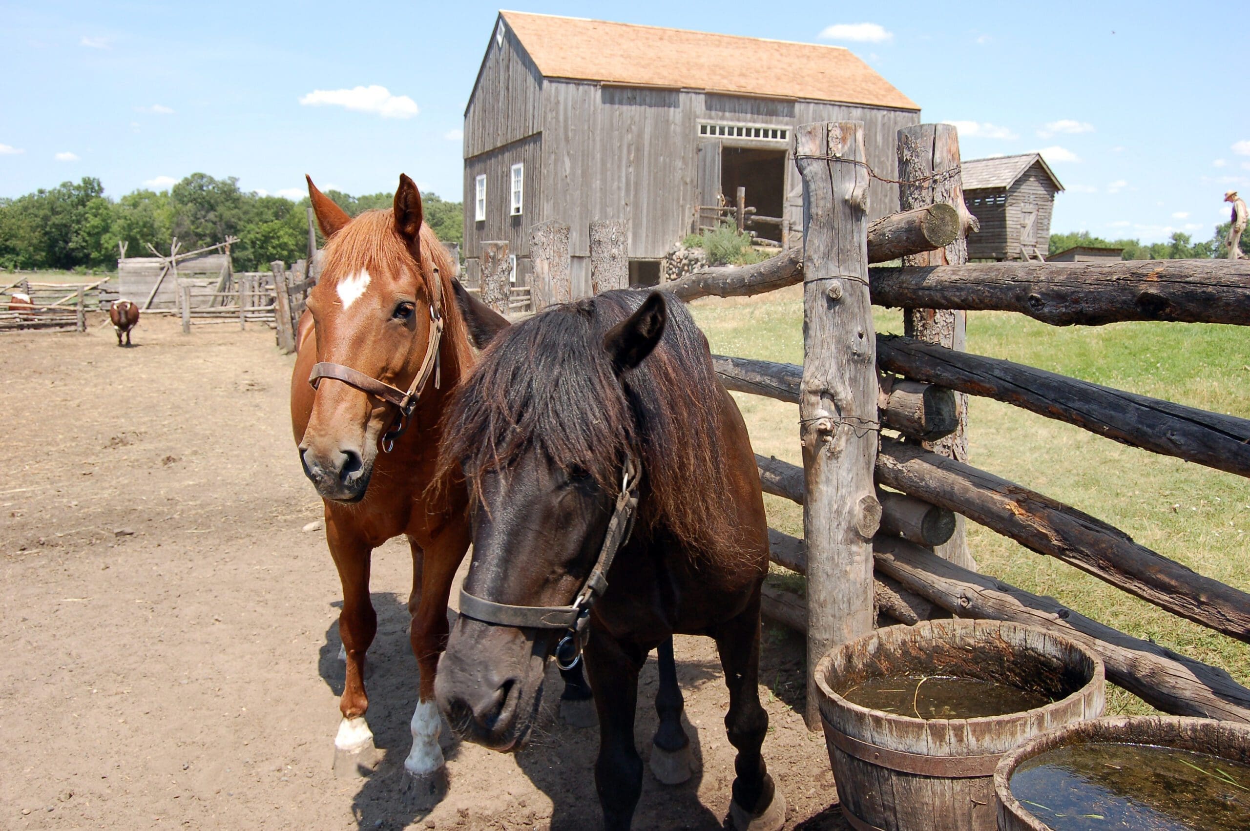 7 Family-Friendly Farms Around the Twin Cities