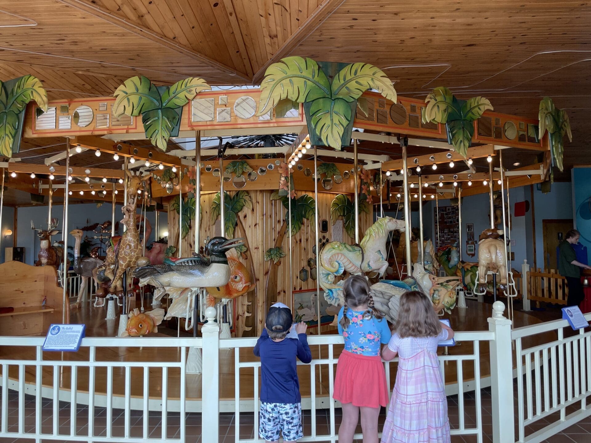 Go, See, Explore: Lark Toys