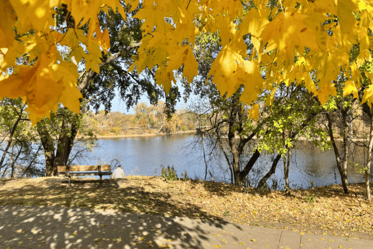 Go, See, Explore: A Day in the Mill District with Kids