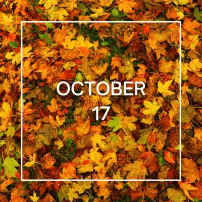 Twin Cities Guide to MEA Weekend