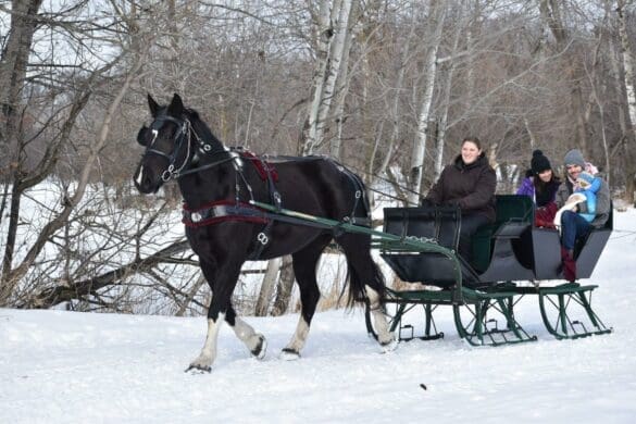 5 Sleigh Rides in the Twin Cities