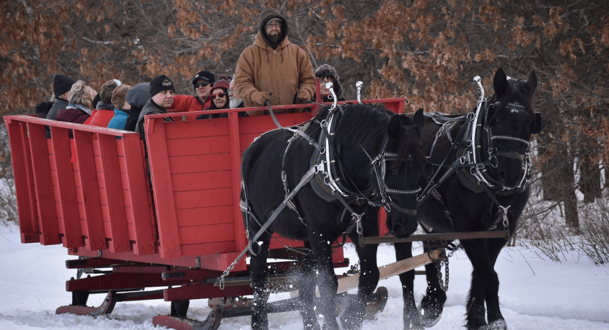 5 Sleigh Rides in the Twin Cities