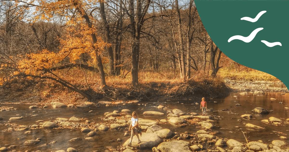 The Best Fall Day Trips from the Twin Cities