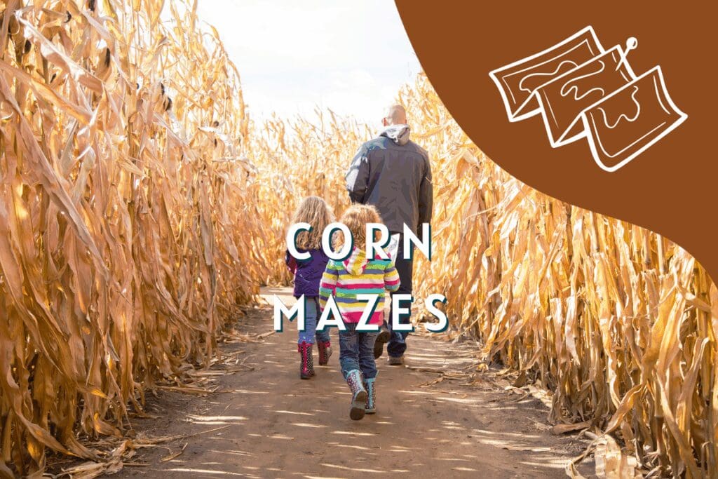 2025 Twin Cities Fall Events: Best Festivals, Orchards, Halloween & More!