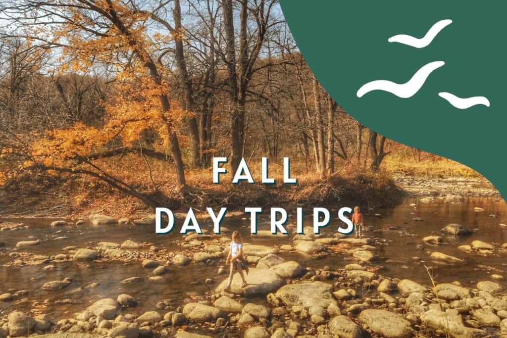 2025 Twin Cities Fall Events: Best Festivals, Orchards, Halloween & More!