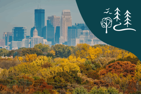 12 Favorite Fall Photo Spots in the Twin Cities