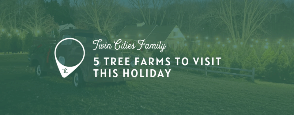 5 Tree Farms to Visit this Holiday