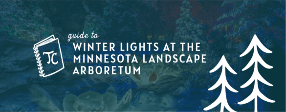 Winter Lights at the Minnesota Landscape Arboretum