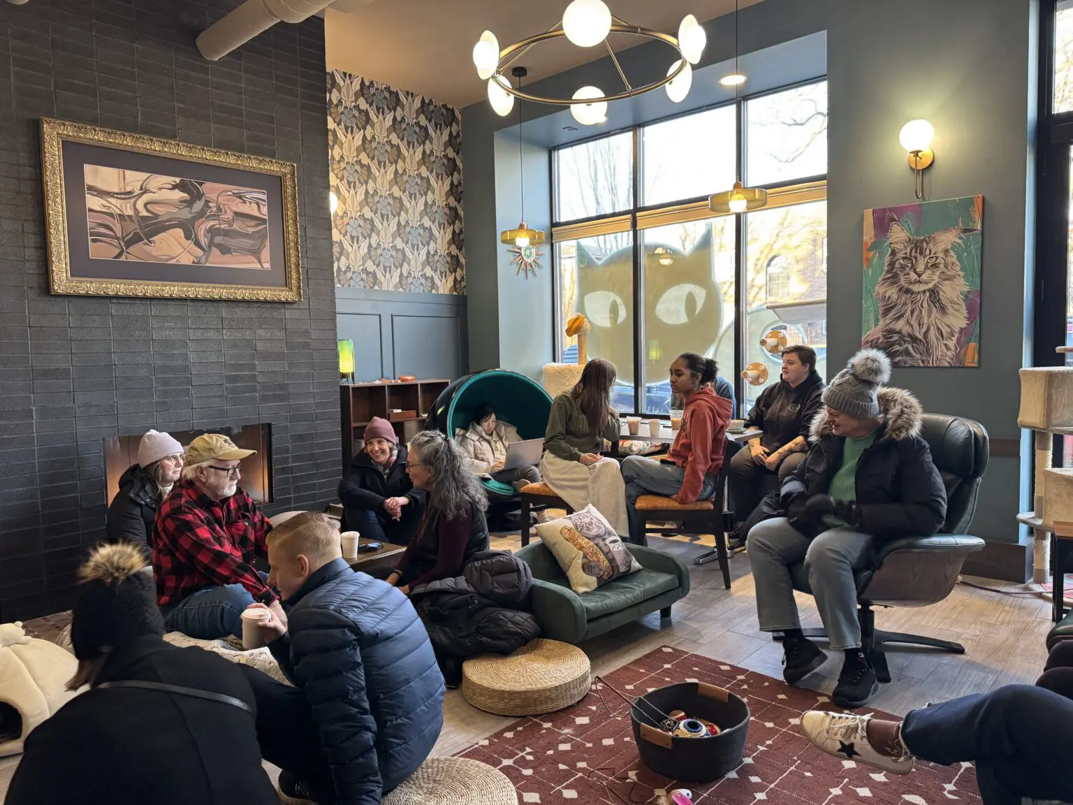 Purrrfect: 3 Cozy Cat Cafés in the Twin Cities