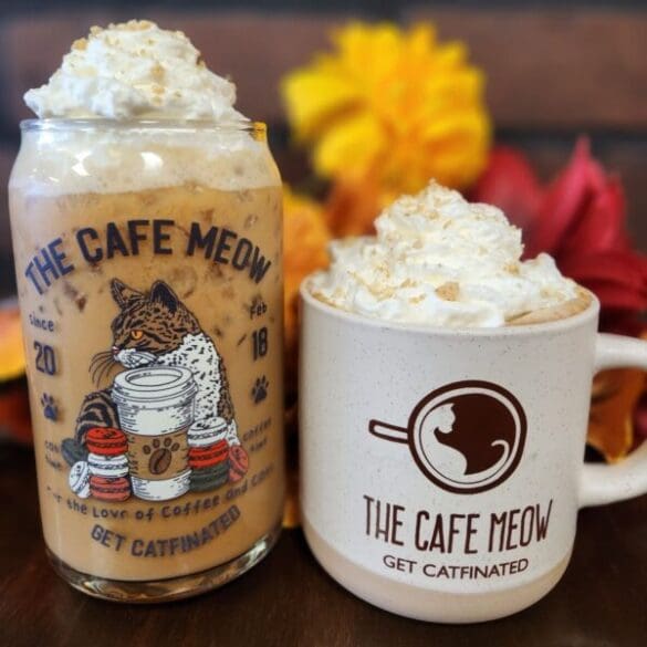 Purrrfect: 3 Cozy Cat Cafés in the Twin Cities