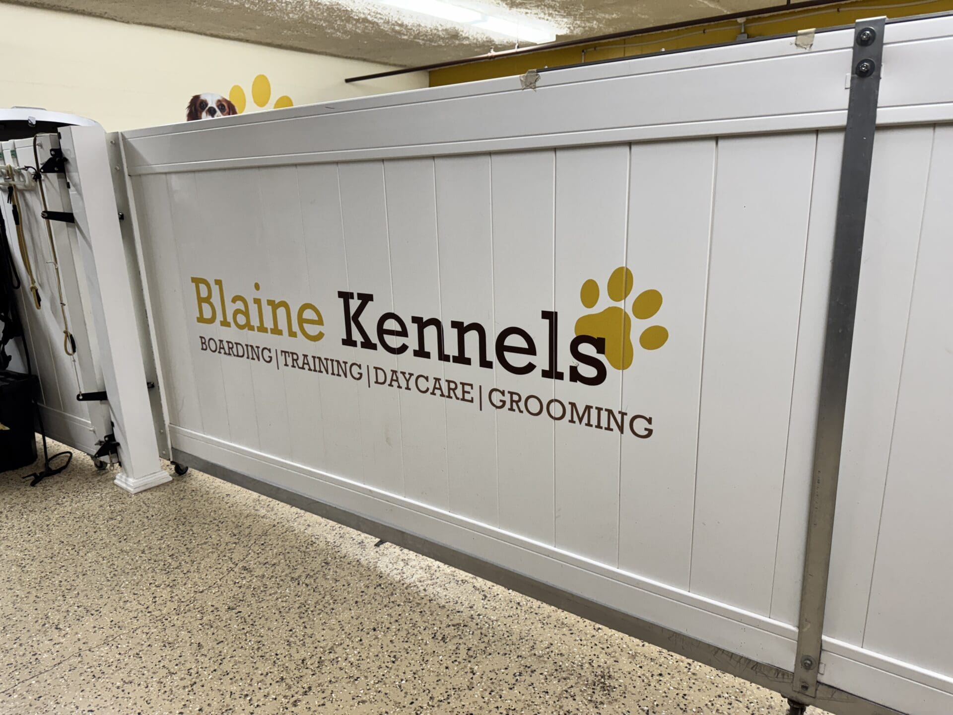 Mild, Hot, and Spicy Dogs at Blaine Kennels
