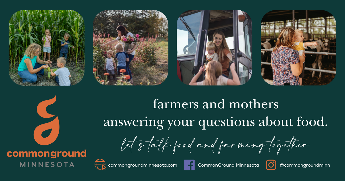 2026 Twin Cities Farmers Market Guide