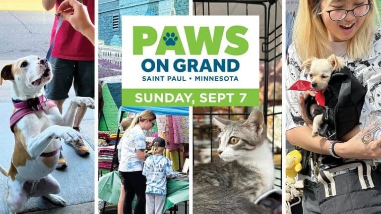 6 State Parks in Minnesota for Camping 2025