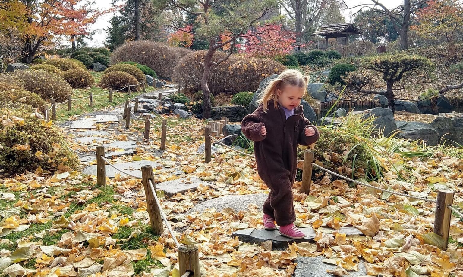 12 Garden Center Minneapolis to Visit this Season