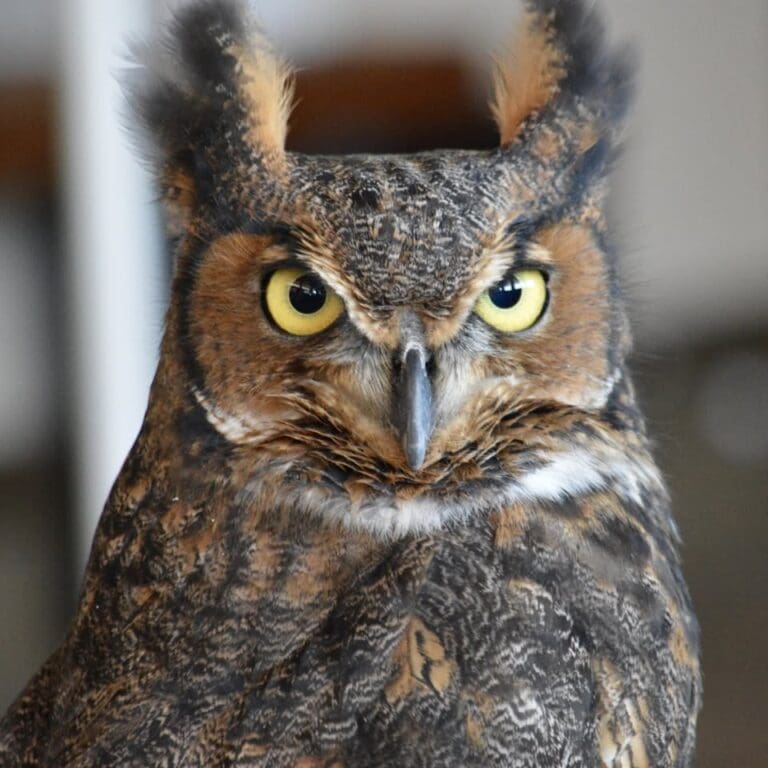 15 Best Twin Cities Water Parks 2025