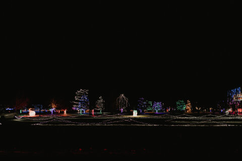 Sever's Holiday Lights | Everything You Need to Know