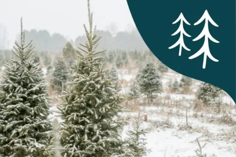 2025 Twin Cities Fall Events: Best Festivals, Orchards, Halloween & More!