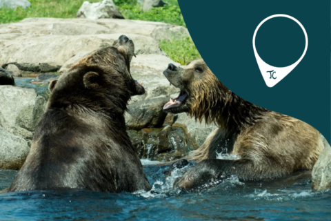 Go, See, Explore: Puttshack Edina | Unleash Your Inner Mini-Golf Champ!